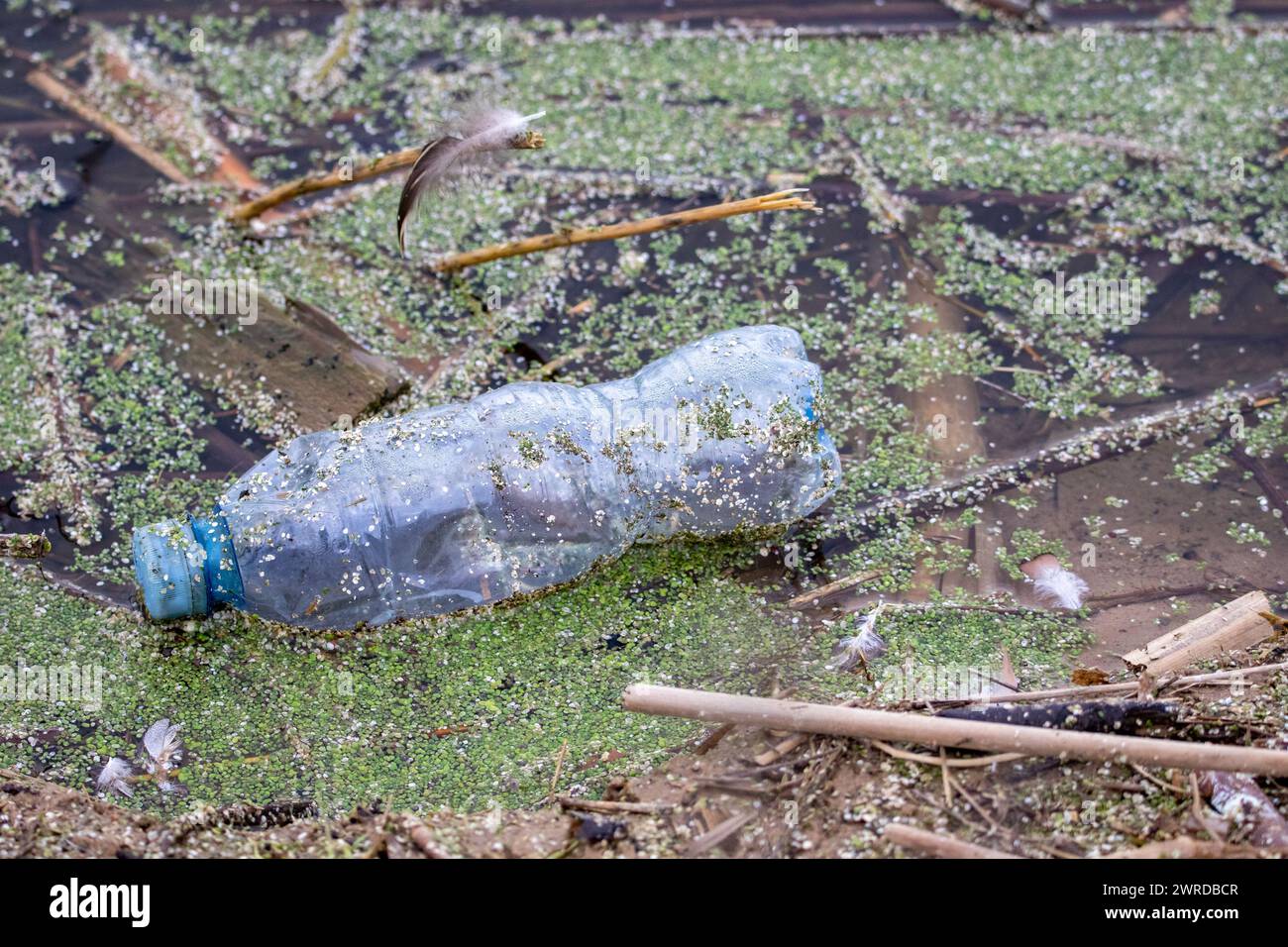 Plastic waste in a water body Stock Photo - Alamy