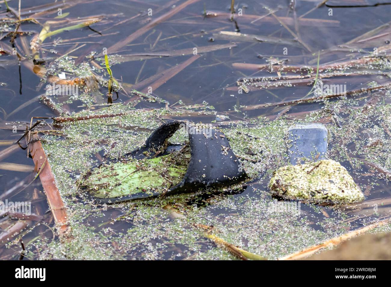 Plastic waste in a water body Stock Photo - Alamy