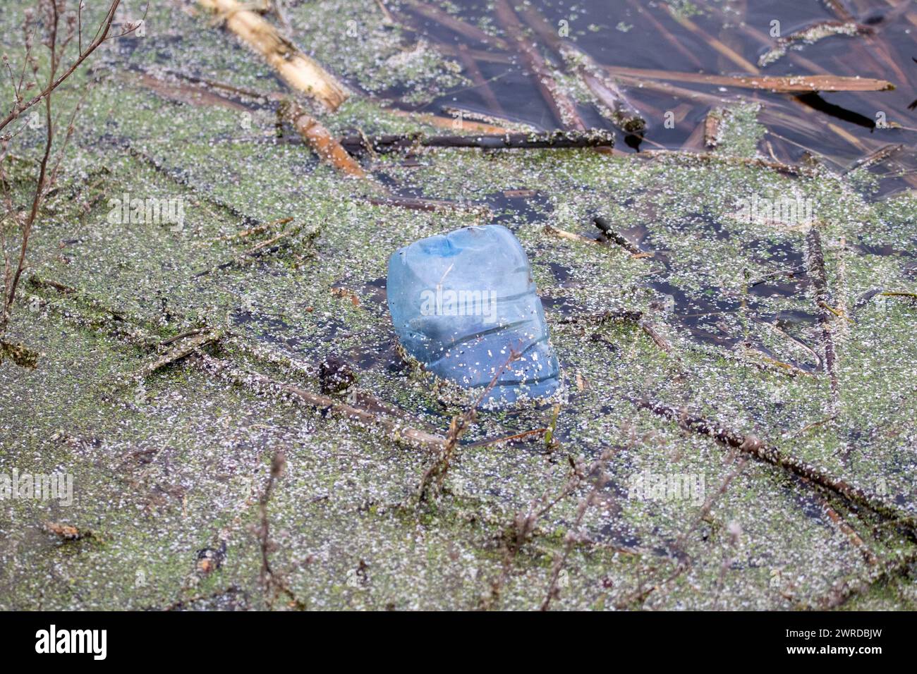 Plastic waste in a water body Stock Photo - Alamy