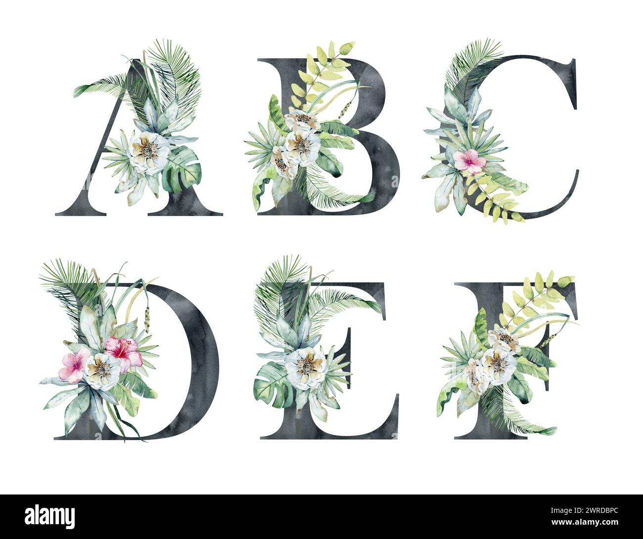Watercolor tropical letters Stock Photo - Alamy