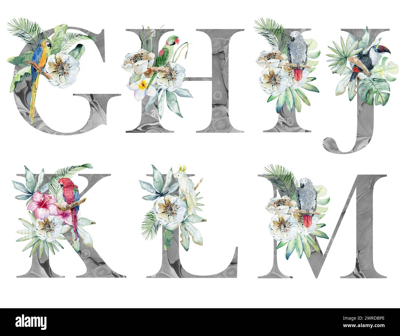 Watercolor tropical letters Stock Photo - Alamy