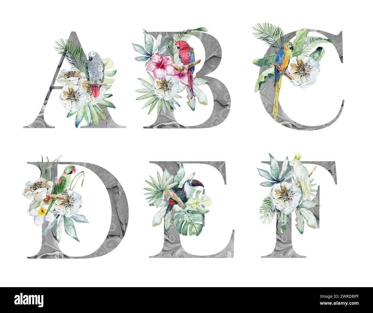 Watercolor tropical letters Stock Photo - Alamy
