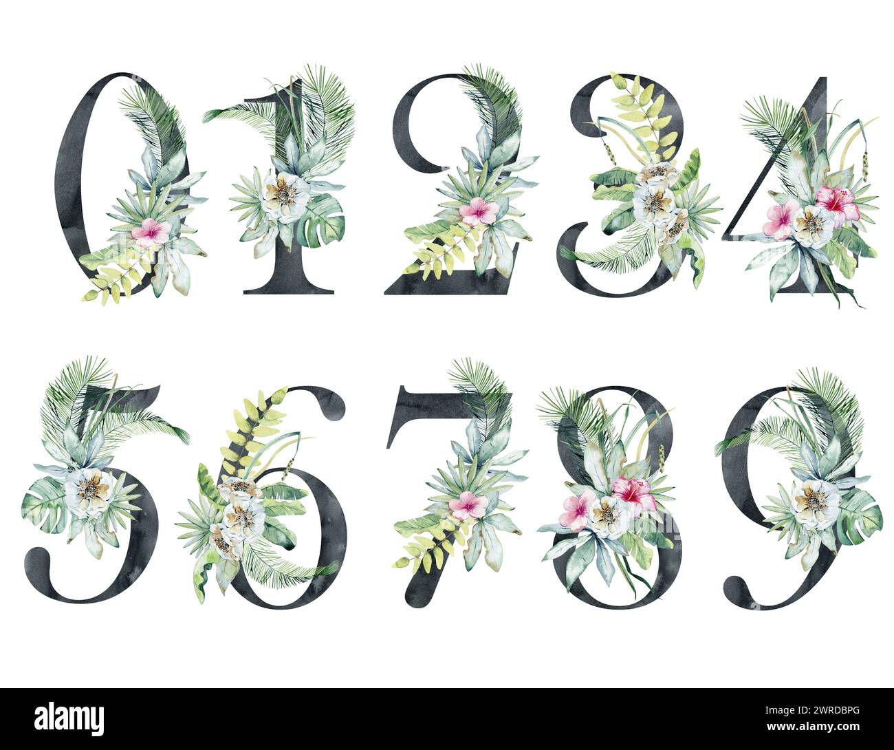 Watercolor tropical numbers Stock Photo - Alamy