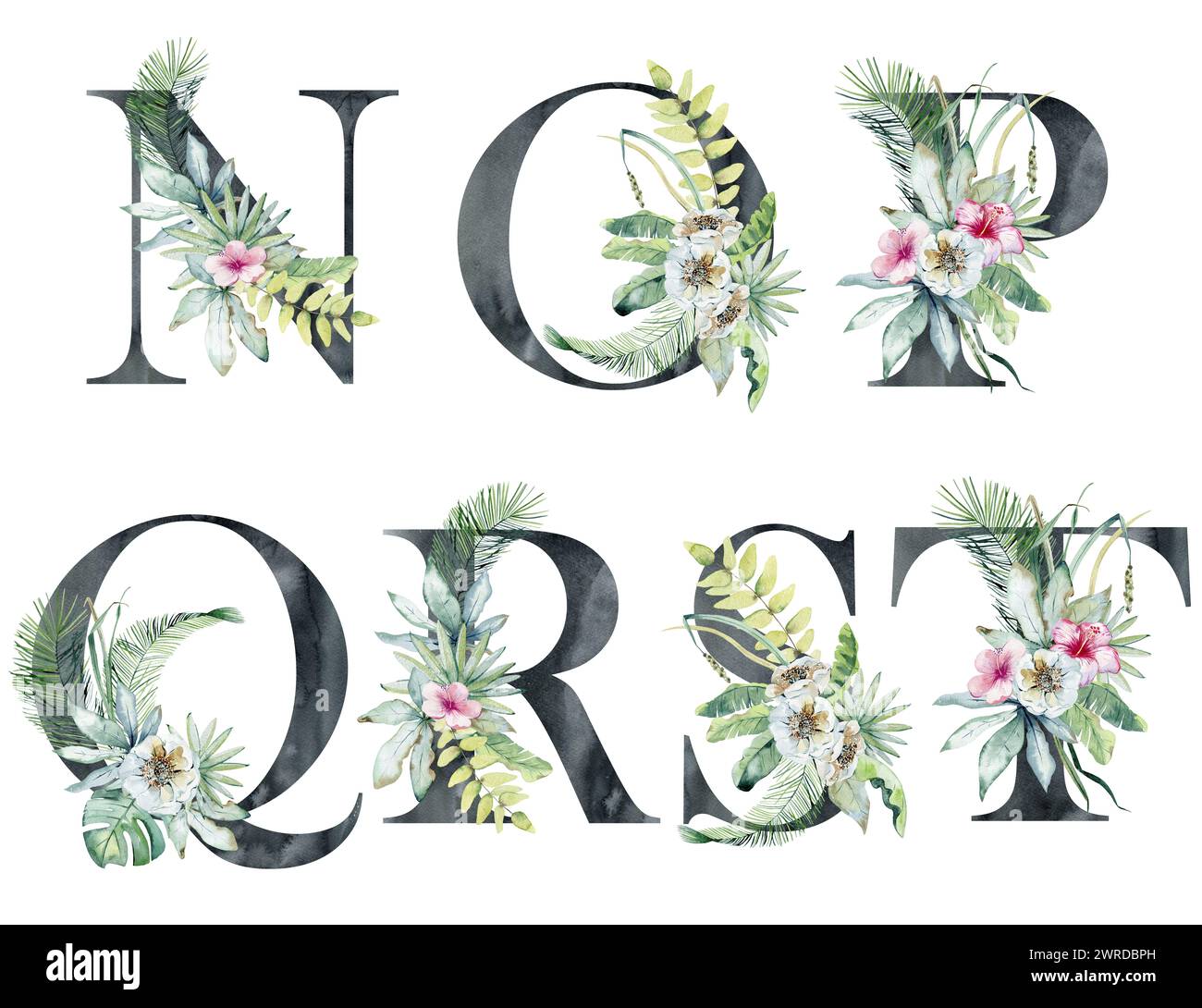 Watercolor tropical letters Stock Photo - Alamy