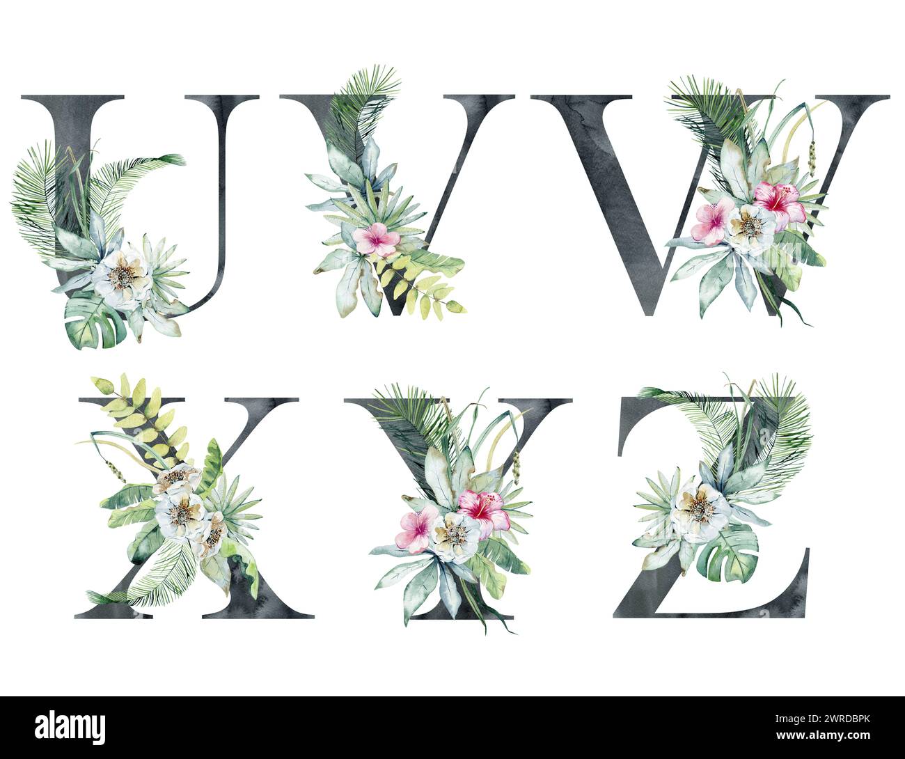 Watercolor tropical letters Stock Photo - Alamy