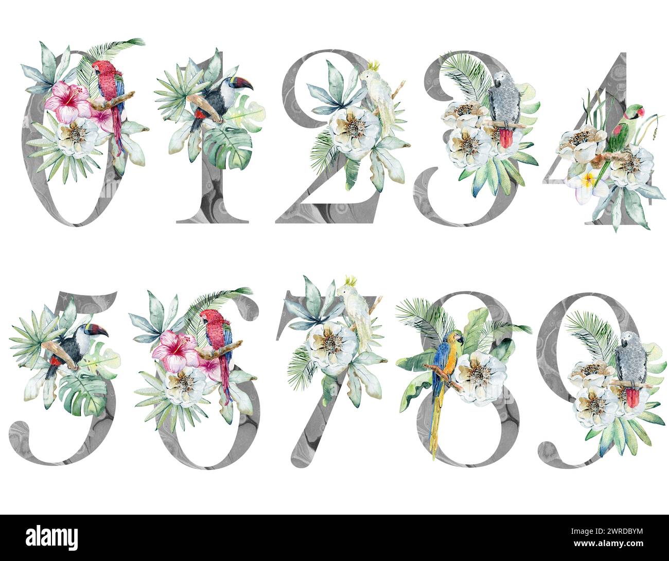 Watercolor tropical numbers Stock Photo - Alamy