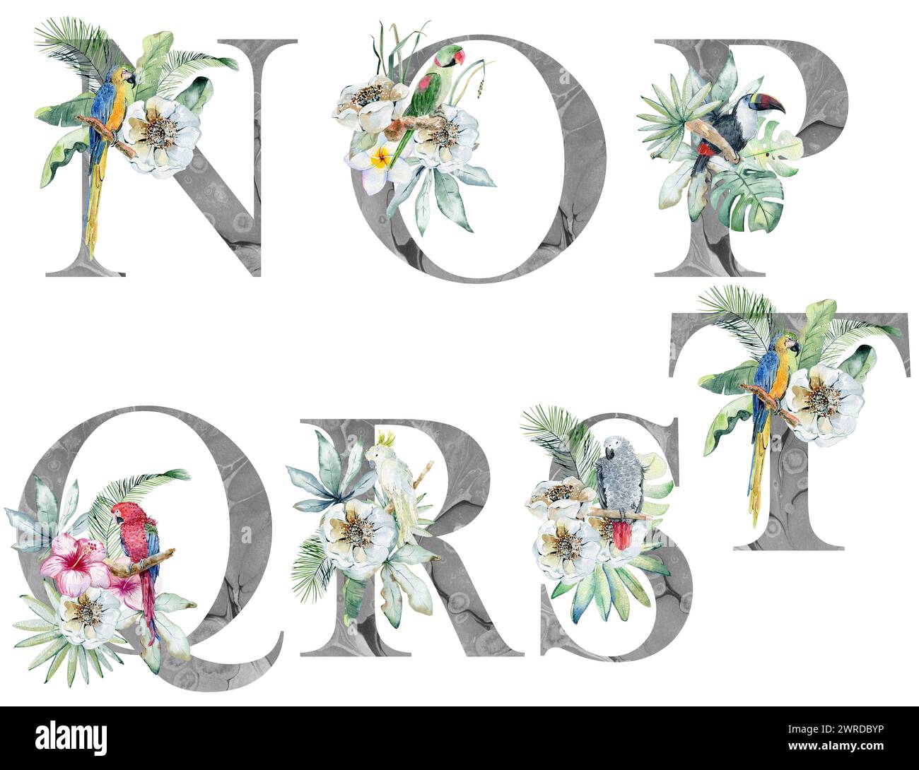 Watercolor tropical letters Stock Photo - Alamy