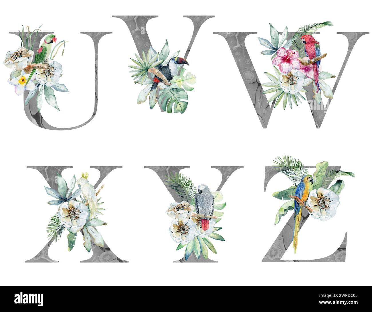 Watercolor tropical letters Stock Photo - Alamy