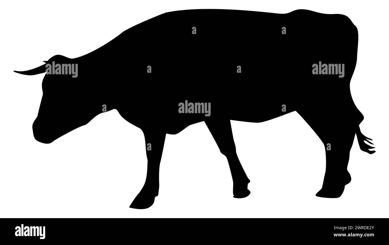 Walking cow silhouette isolated on white background. Cattle vector ...