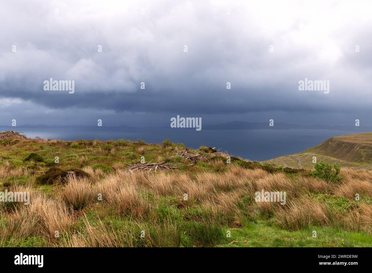 The wild grasses of Isle of Skye coast bend to the will of the wind ...
