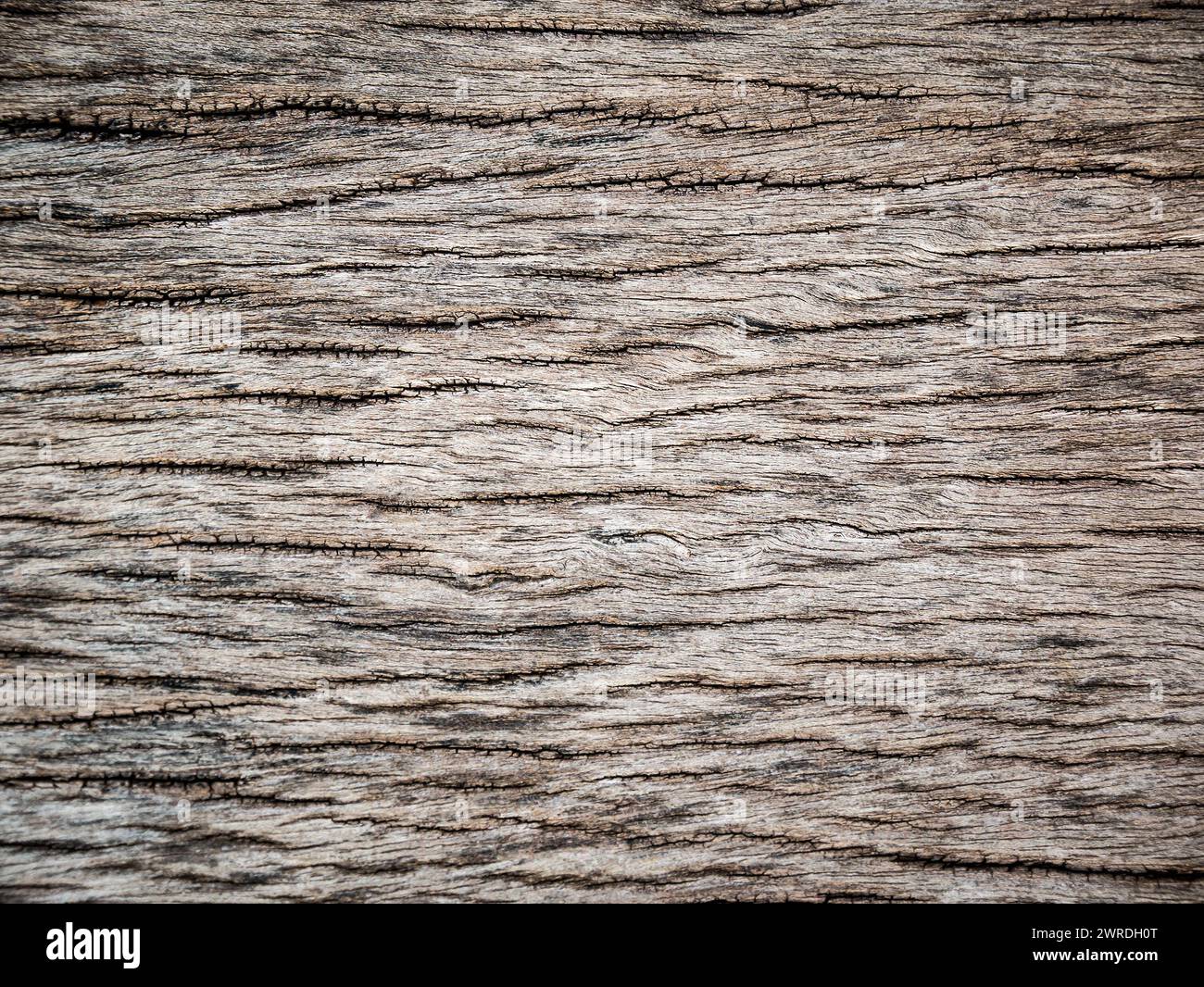 wood texture with natural pattern close up Stock Photo - Alamy