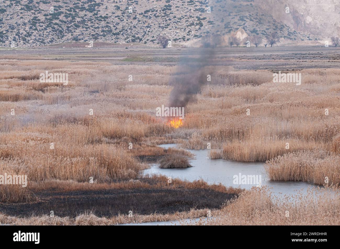 Wetland destruction hi-res stock photography and images - Alamy