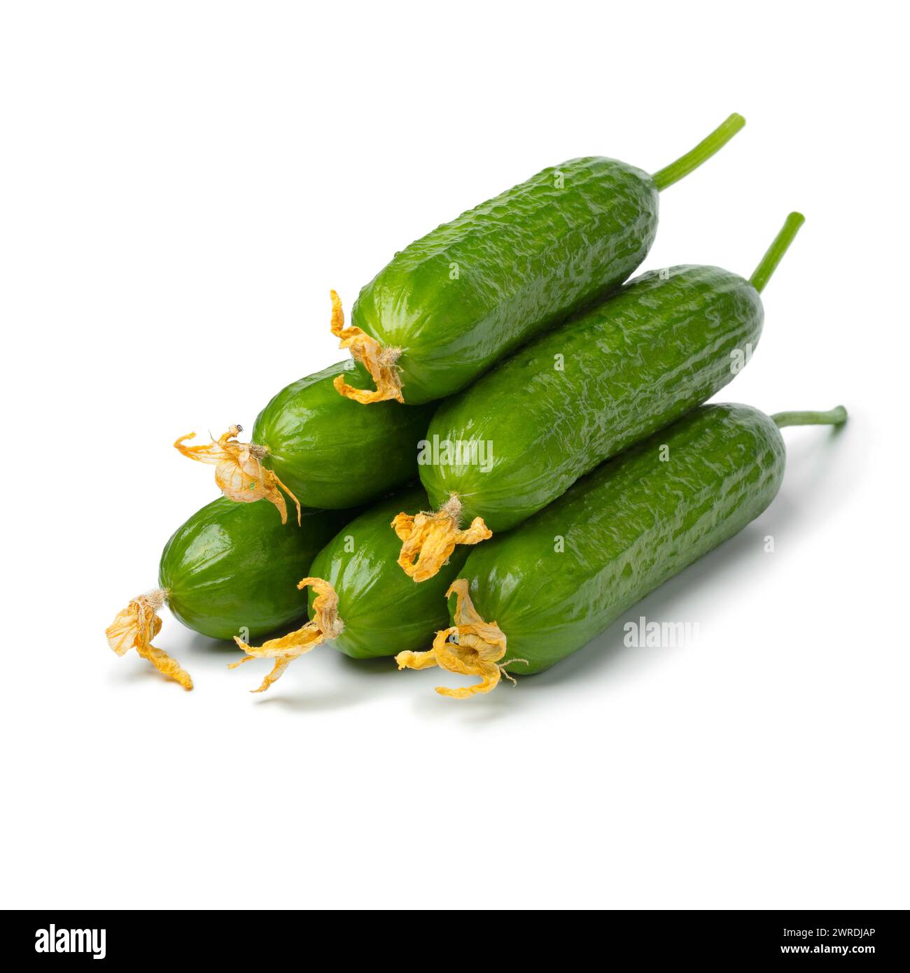 Heap of fresh young homegrown green small cucumbers with flowers close ...