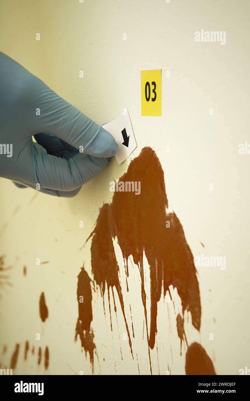 Empty documentation hi-res stock photography and images - Alamy