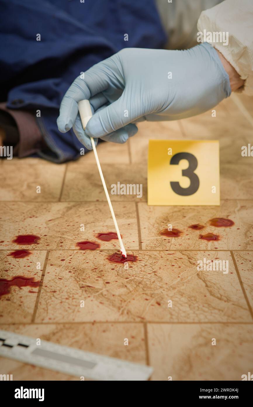 Crime scene investigation - collecting of blood samples for laboratory ...