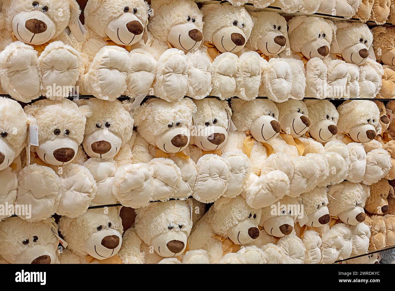 cute soft toy white teddy bears on the counter in a children's store ...