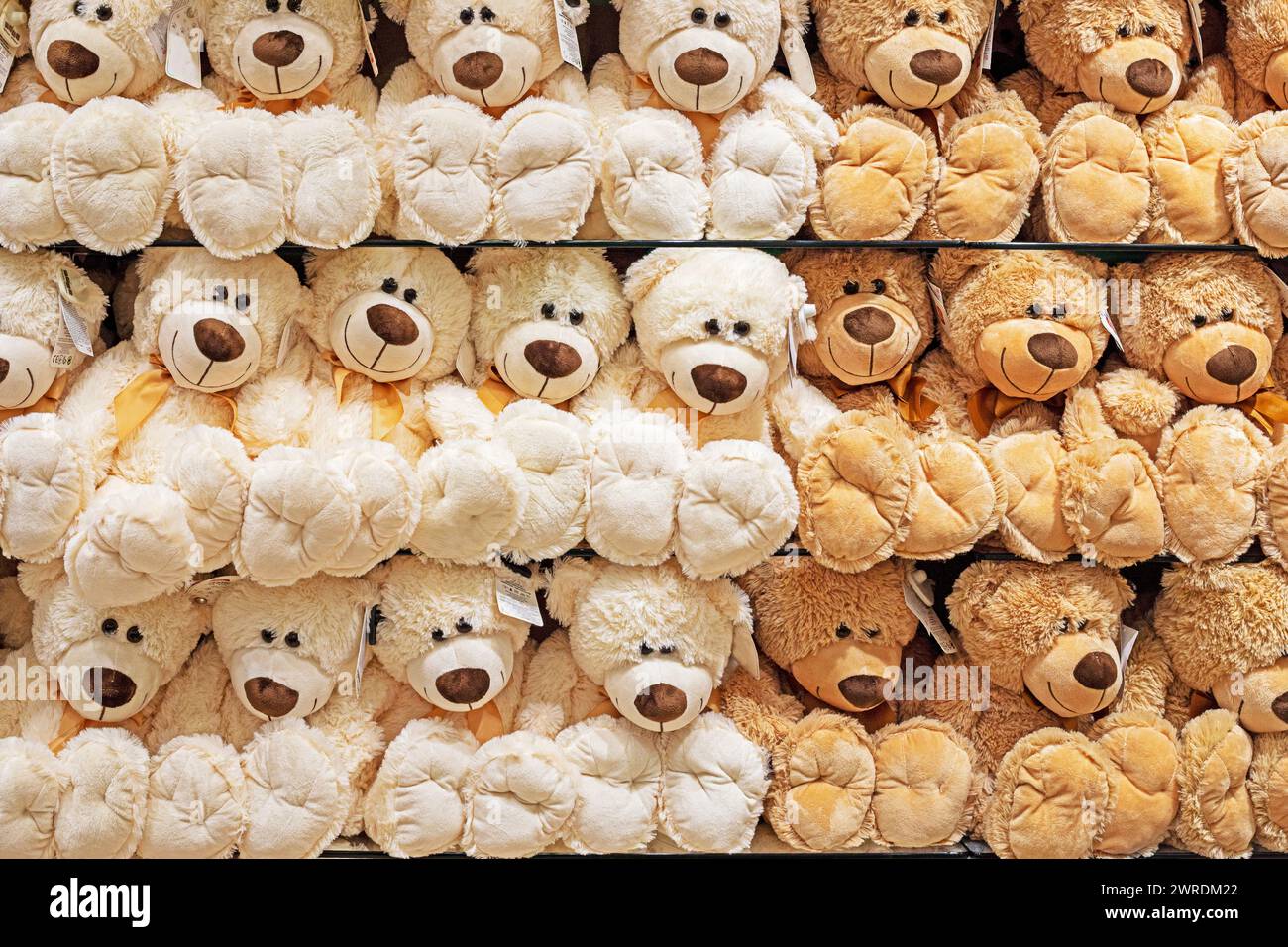 cute soft toy white and brown teddy bears on the counter in a children's store Stock Photo - Alamy
