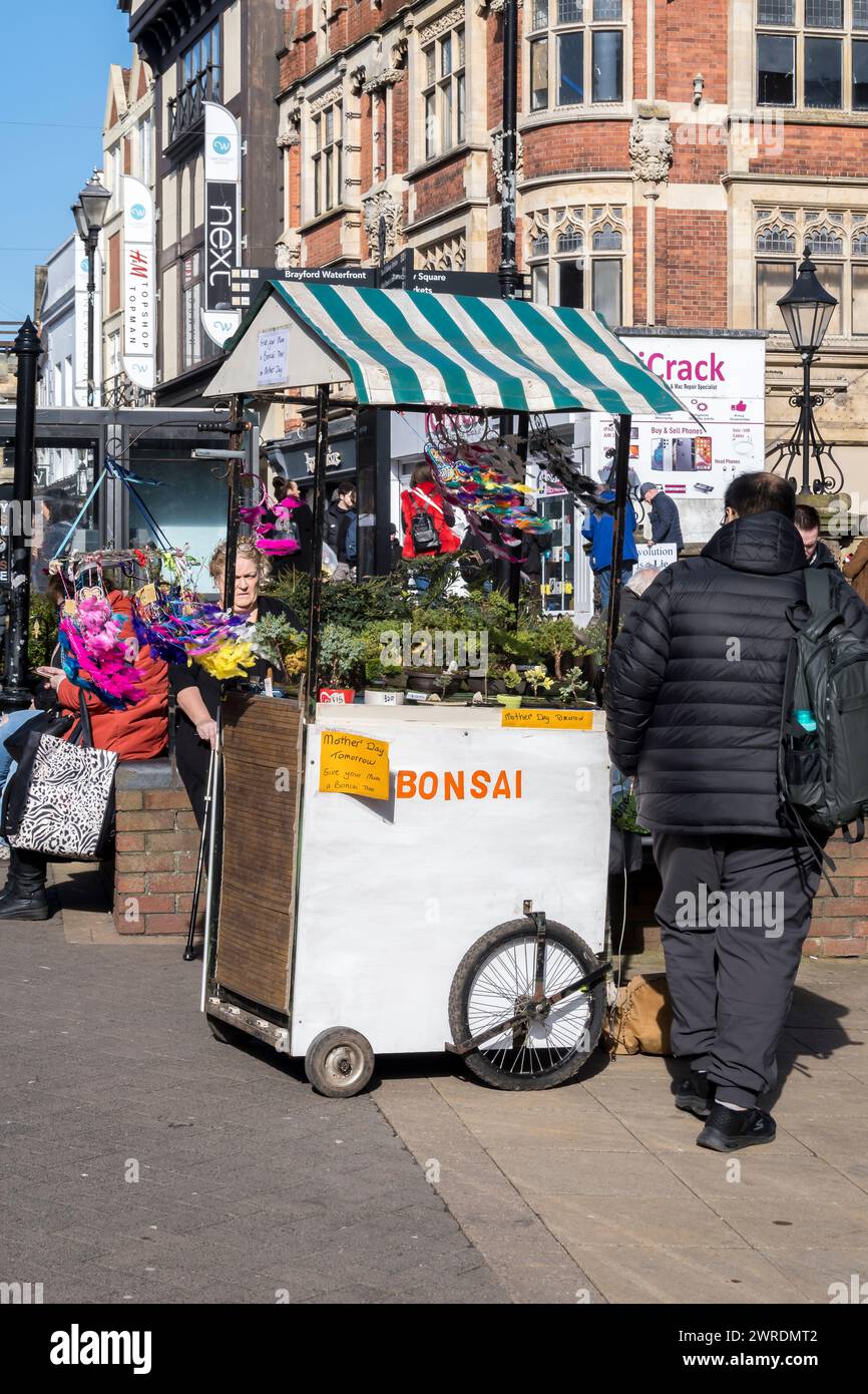 mobile stall selling Bonsai trees for Mothers Day, High Street, Lincoln ...