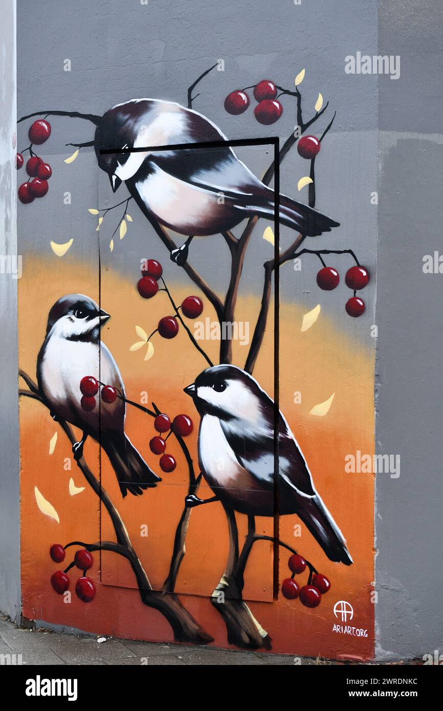 Photography of street art also known as graffiti in Reykjavik, Iceland ...