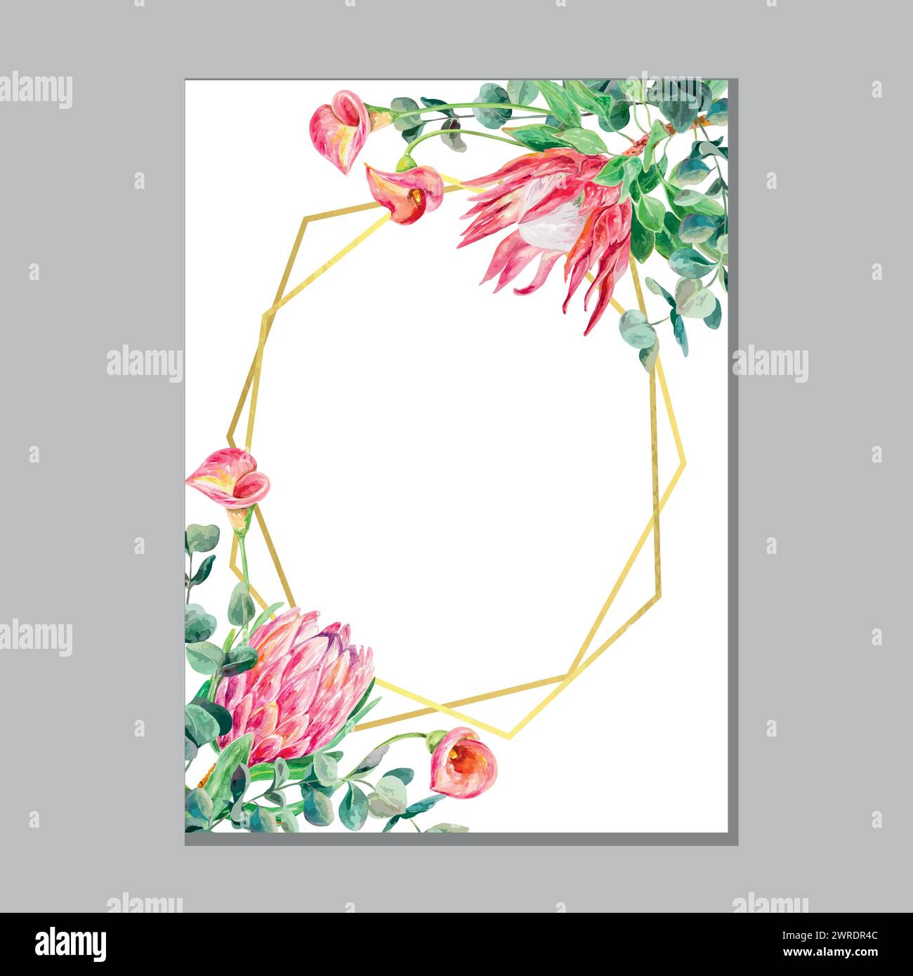 Protea card watercolor, eucalyptus sprigs, gold frame. Vector ...