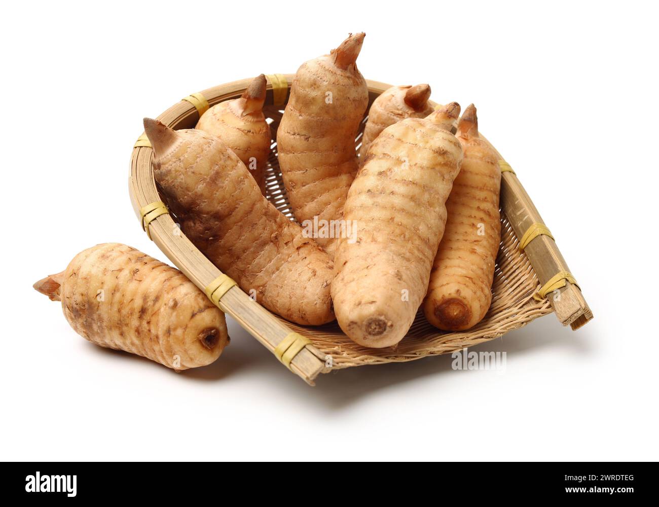 Fresh Gastrodia elata blume on white background Stock Photo - Alamy