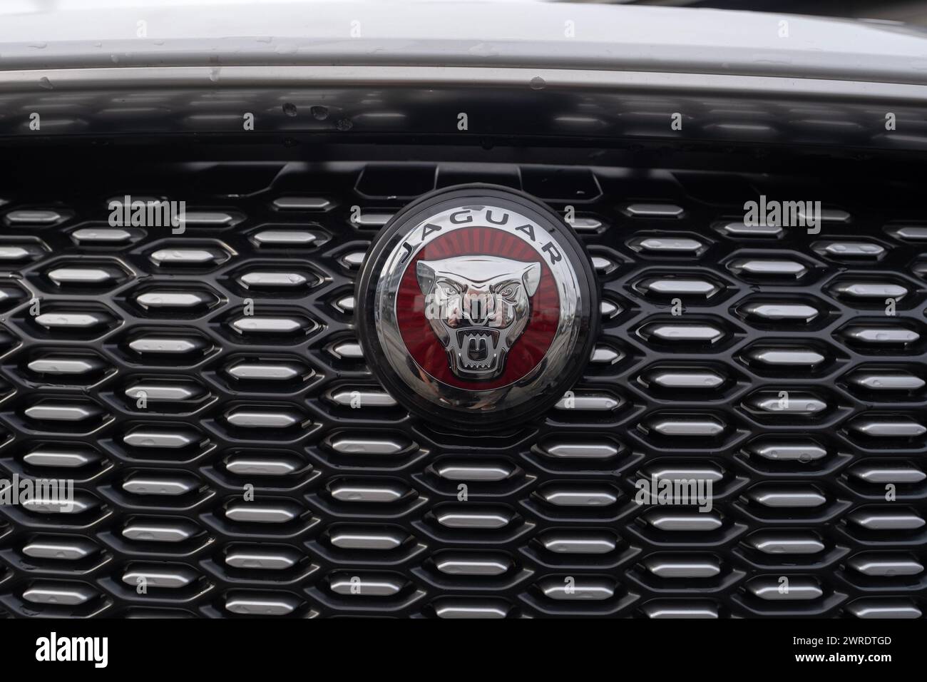 Rover car company logo hi-res stock photography and images - Alamy