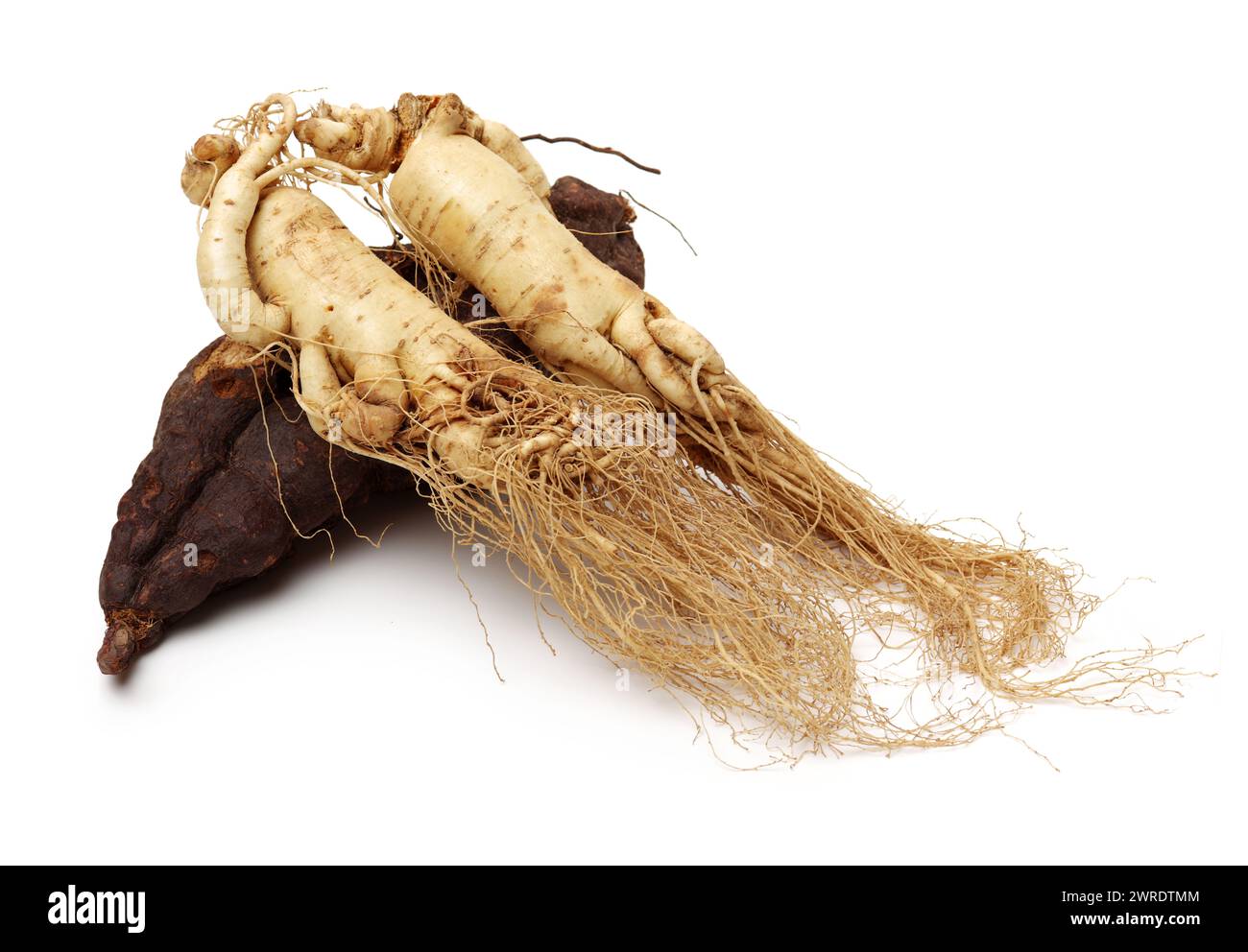 ginseng isolated on white background Stock Photo - Alamy