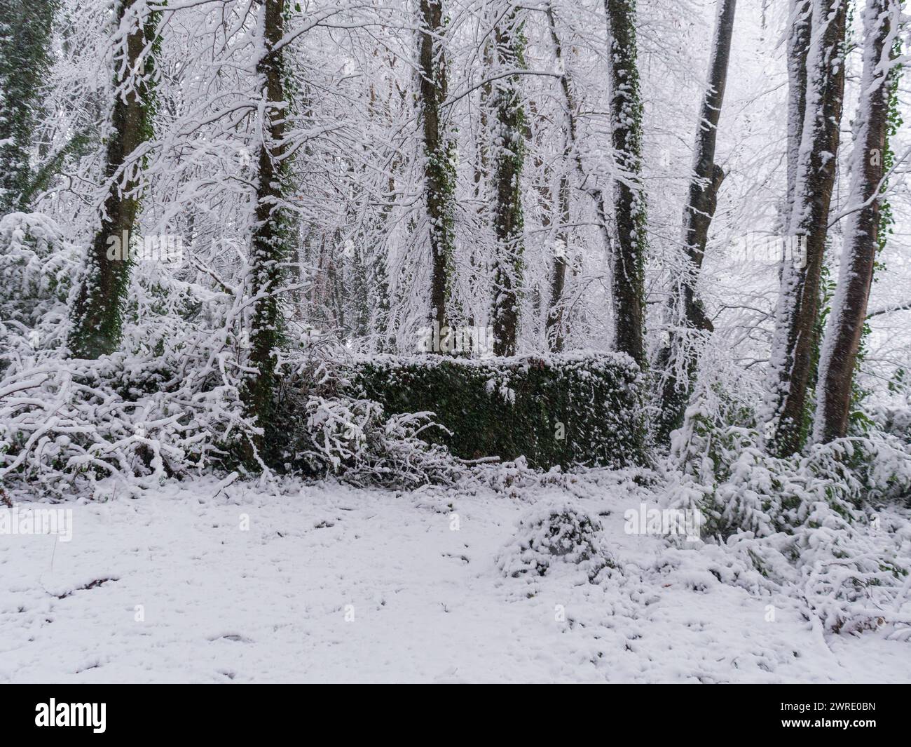 Snowy march hi-res stock photography and images - Alamy