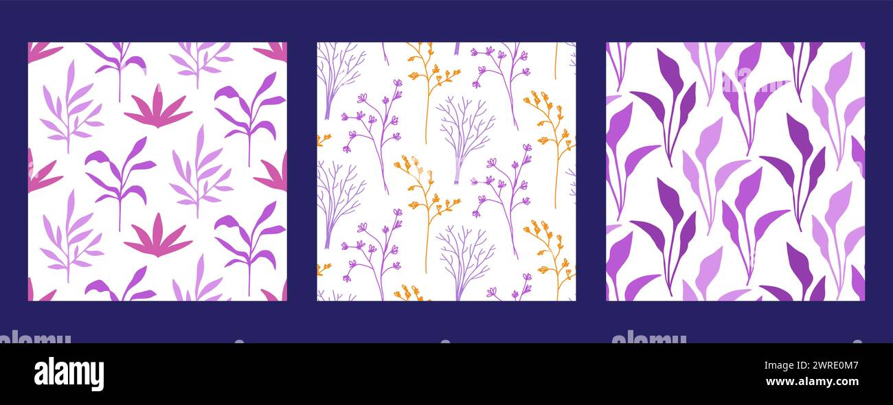 Botany collection hi-res stock photography and images - Alamy