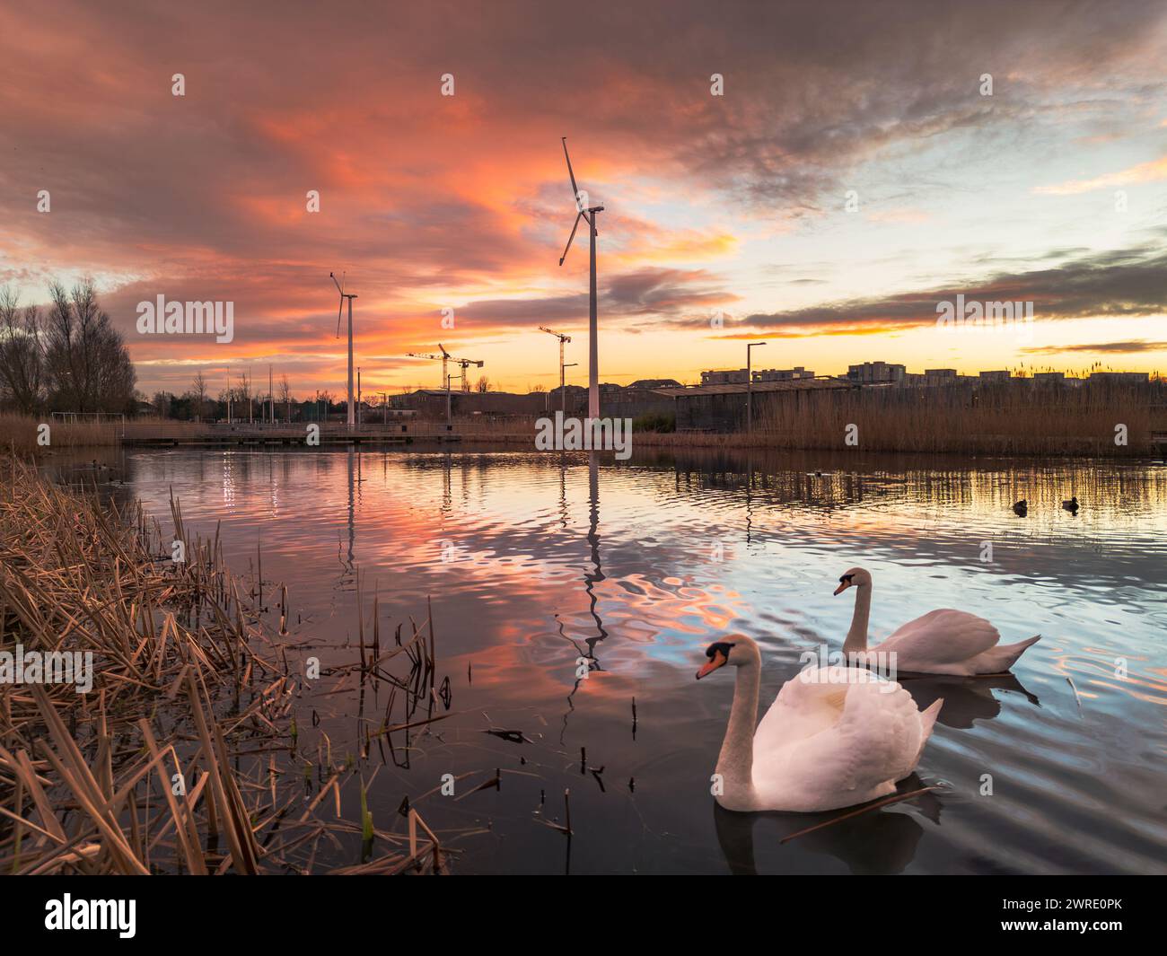 Father collins park hi-res stock photography and images - Alamy