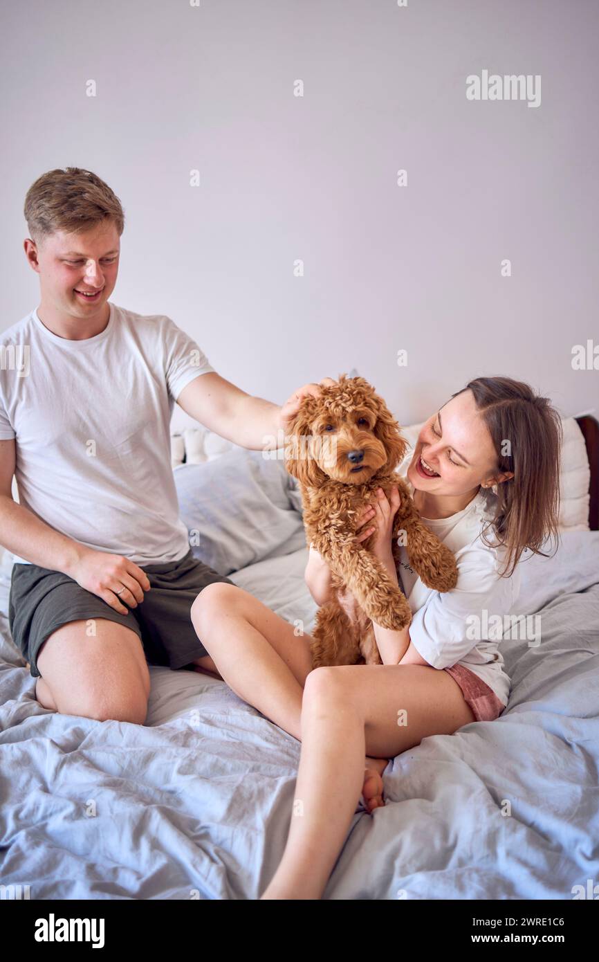 Cockapoo dog on bed hi-res stock photography and images - Alamy