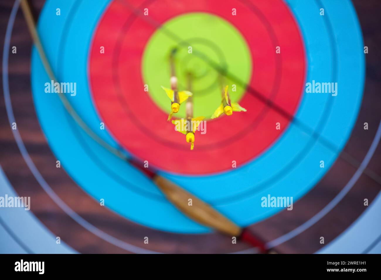 The arrow pierced the center of the paper target of concentric circles ...