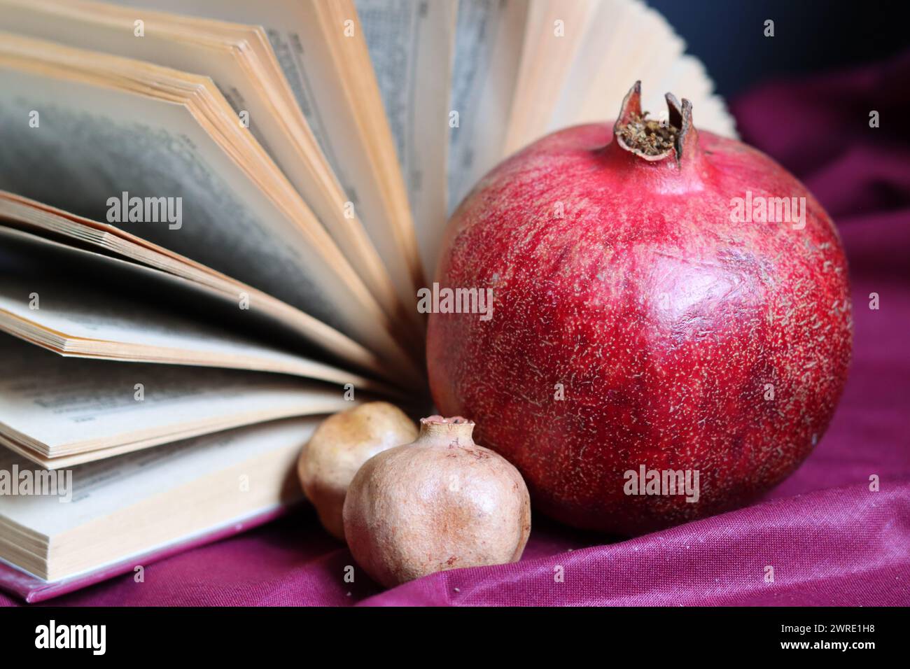 Still life with pomegranate, book and silver vase with dry plants in it ...