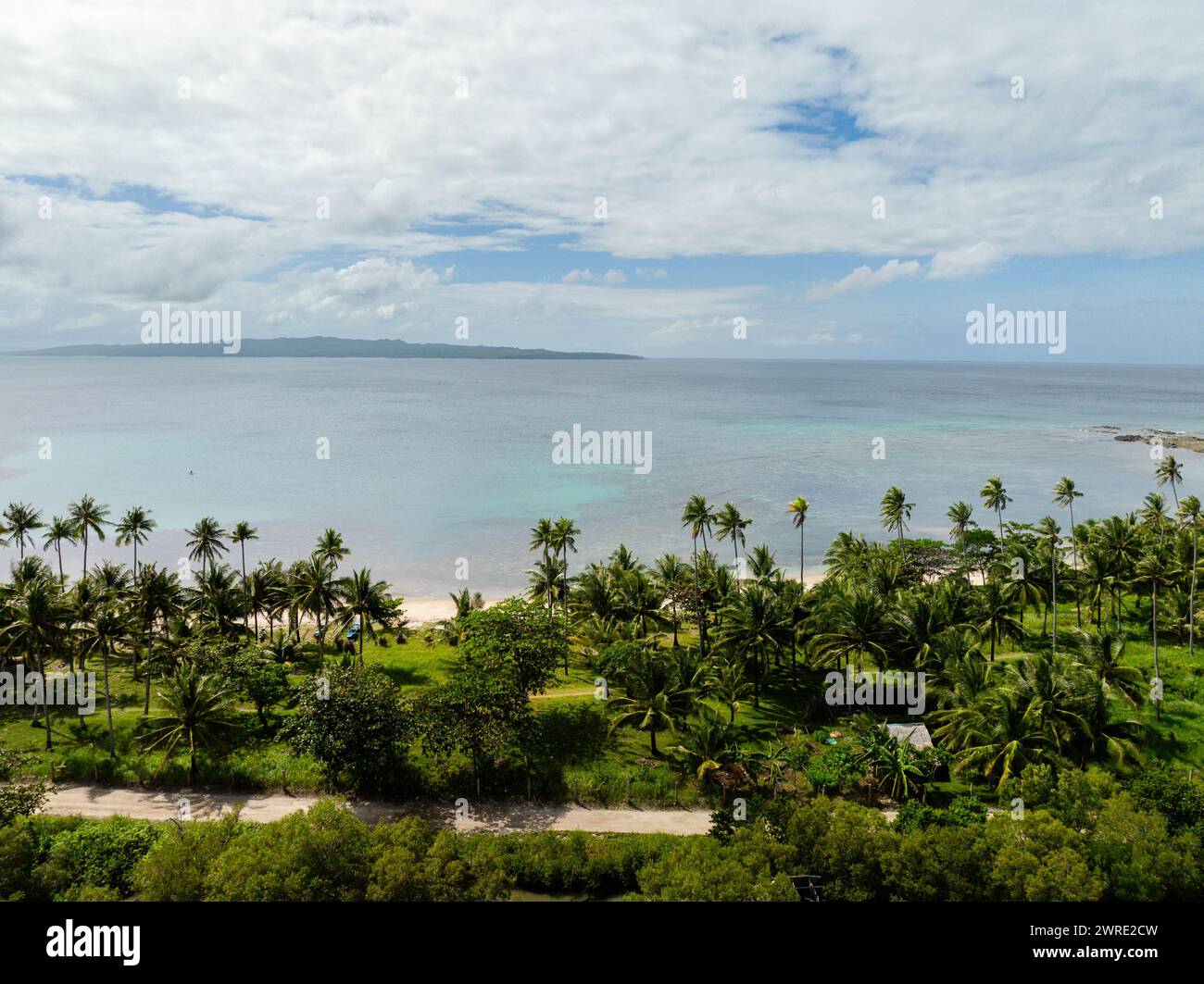Sea view through coconut trees. Turquoise sea water in Santa Fe, Tablas ...