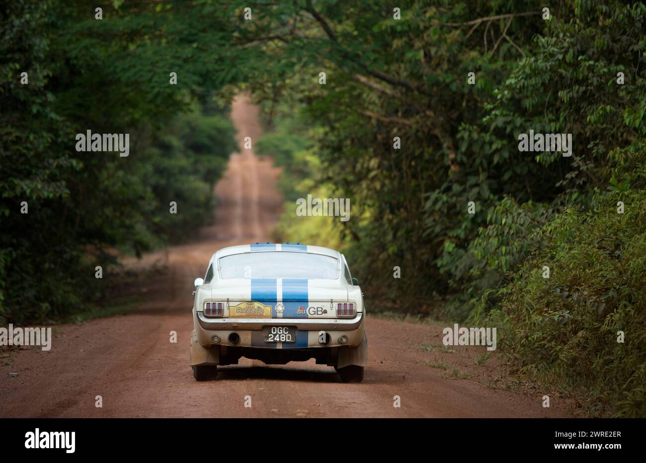 10/10/15. A Ford Mustang from Atlantic to Pacific on the Tranz ...
