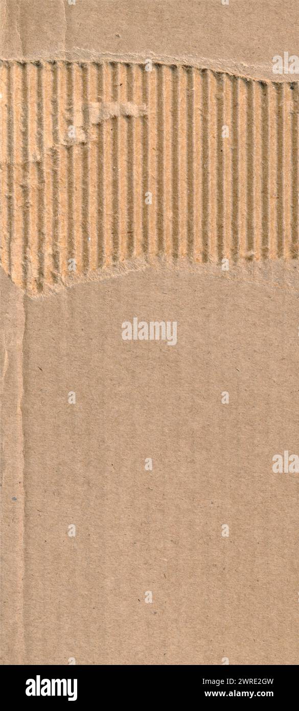 Wallpaper torn cardboard. Paperboard paper ripped frame border ...