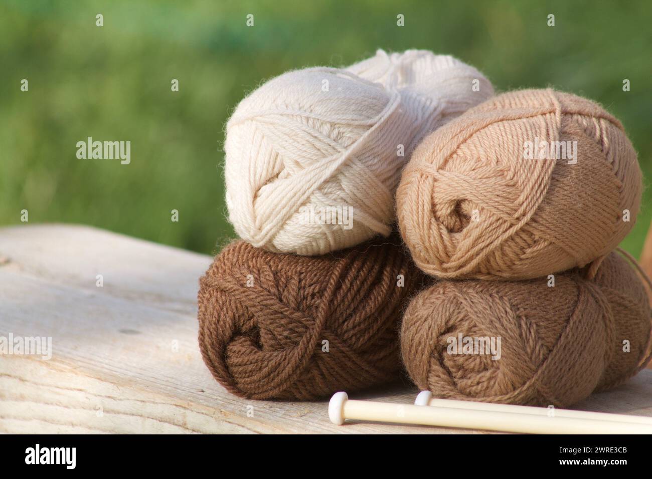 The four tones hi-res stock photography and images - Alamy