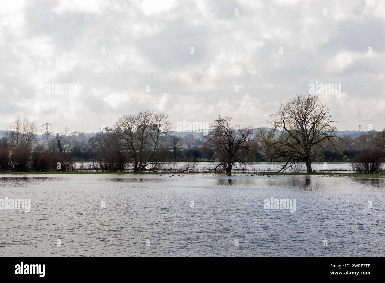 View of trees and flooded fields at Longham Lakes in Dorset, England ...