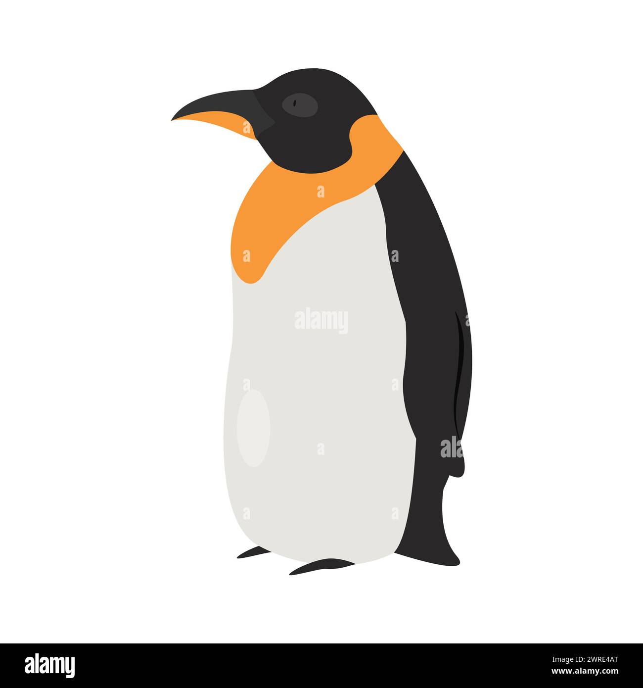 Emperor penguin bird. Arctic and antarctic animals, snow fauna cartoon ...