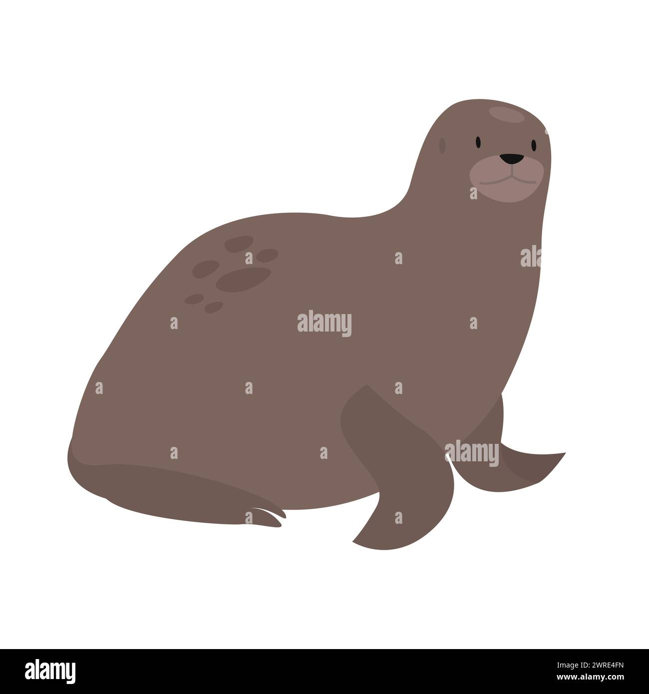 Arctic ocean seal. Arctic and antarctic animals, snow sea fauna cartoon ...