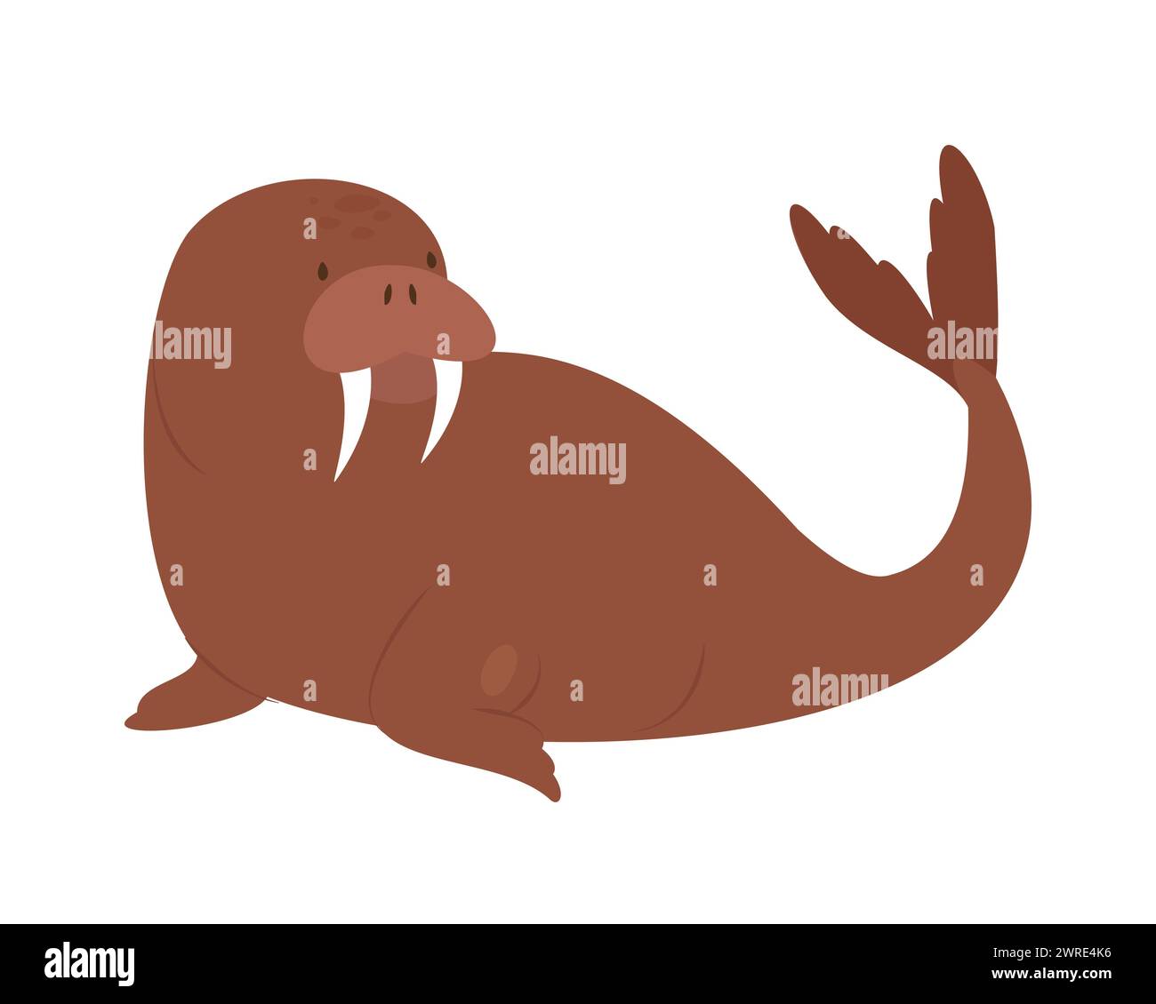 Arctic walrus animal. Arctic and antarctic animals, snow sea fauna ...