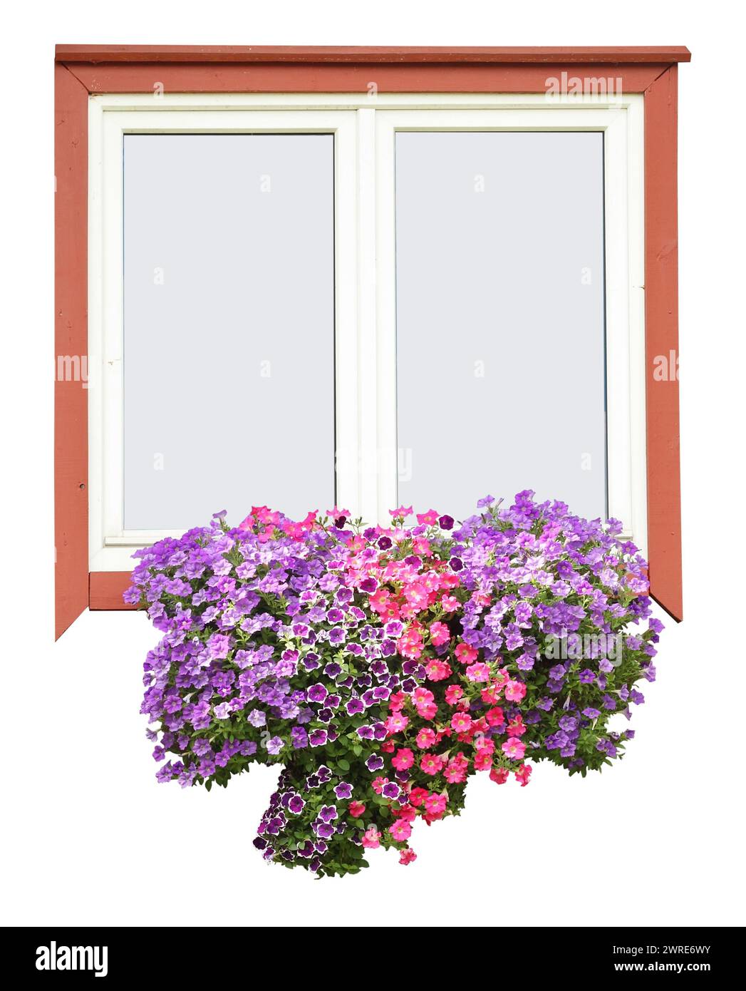 Summer petunia flowers bloom on the window of a village house. Isolated ...