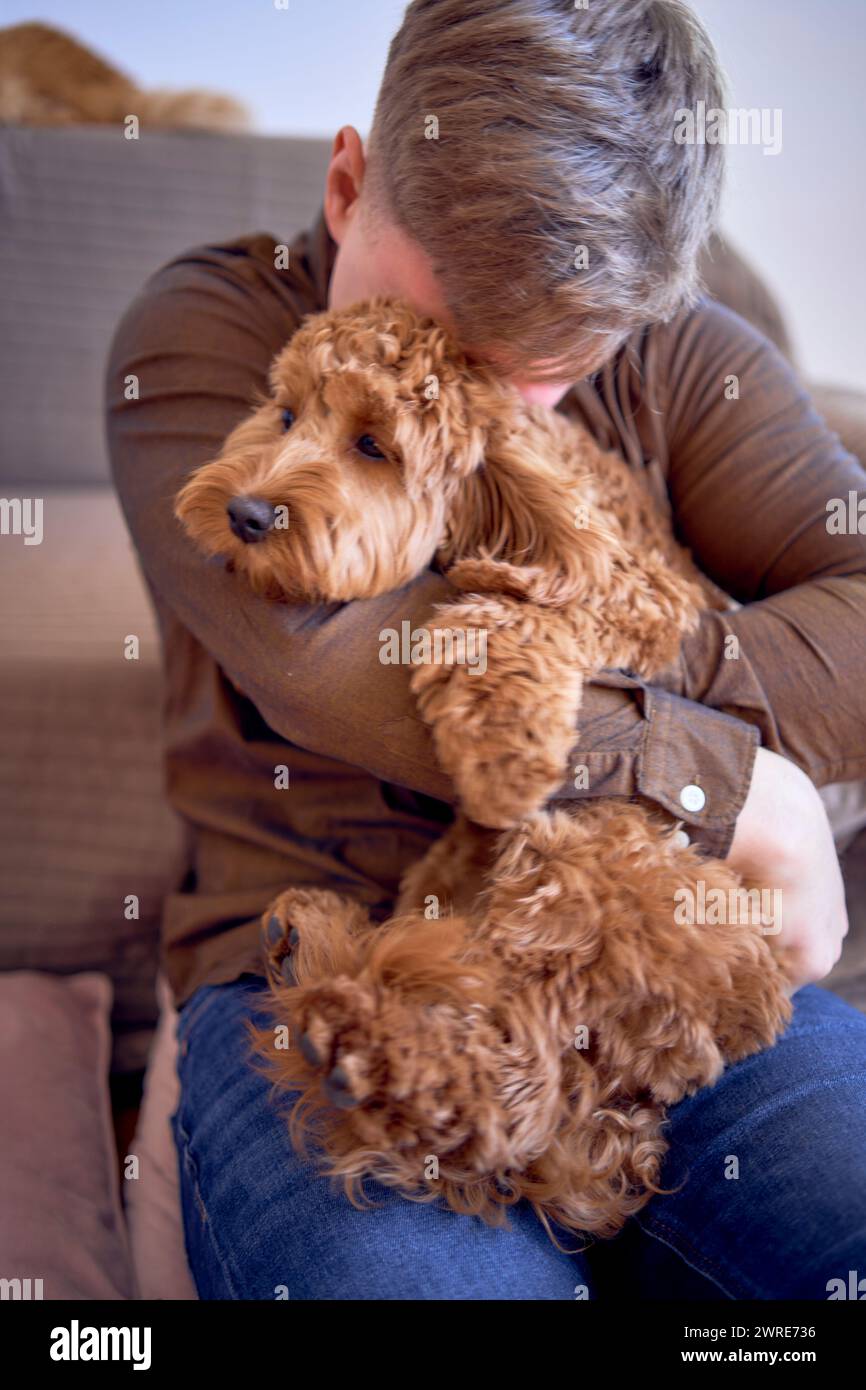 the owner hugs the cockapoo girl tightly Stock Photo - Alamy