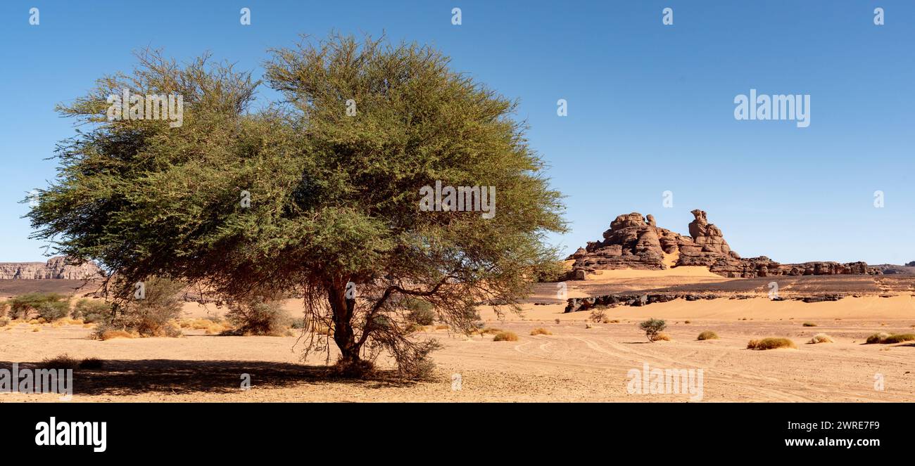 Landscape of the Red Tadrart in the Sahara Desert, Algeria. A solitary ...