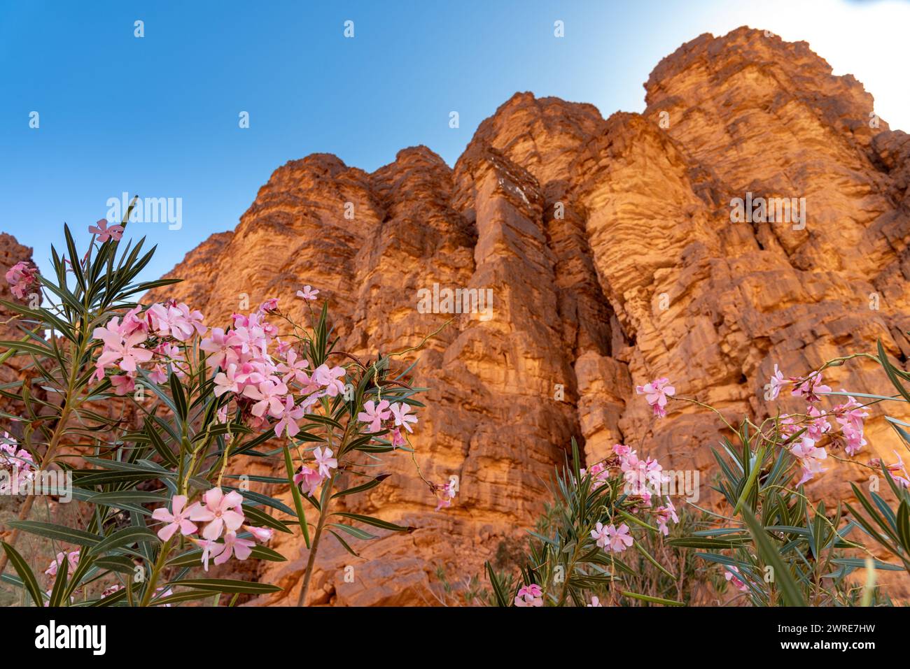 Landscape of the Essendilene canyon in the Sahara Desert, Algeria ...