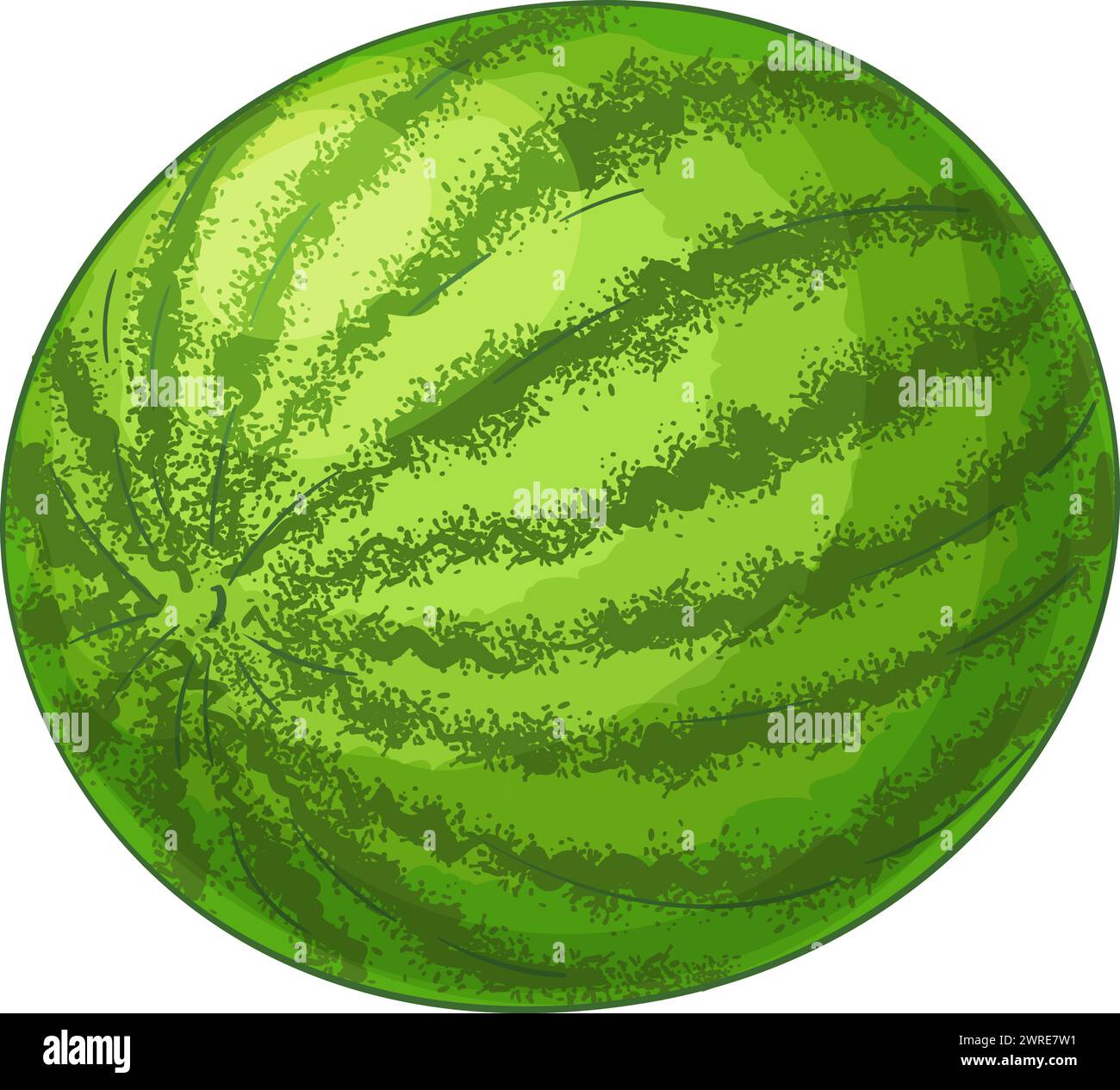 Watermelon Fruit Colored Detailed Illustration Stock Vector Image & Art ...