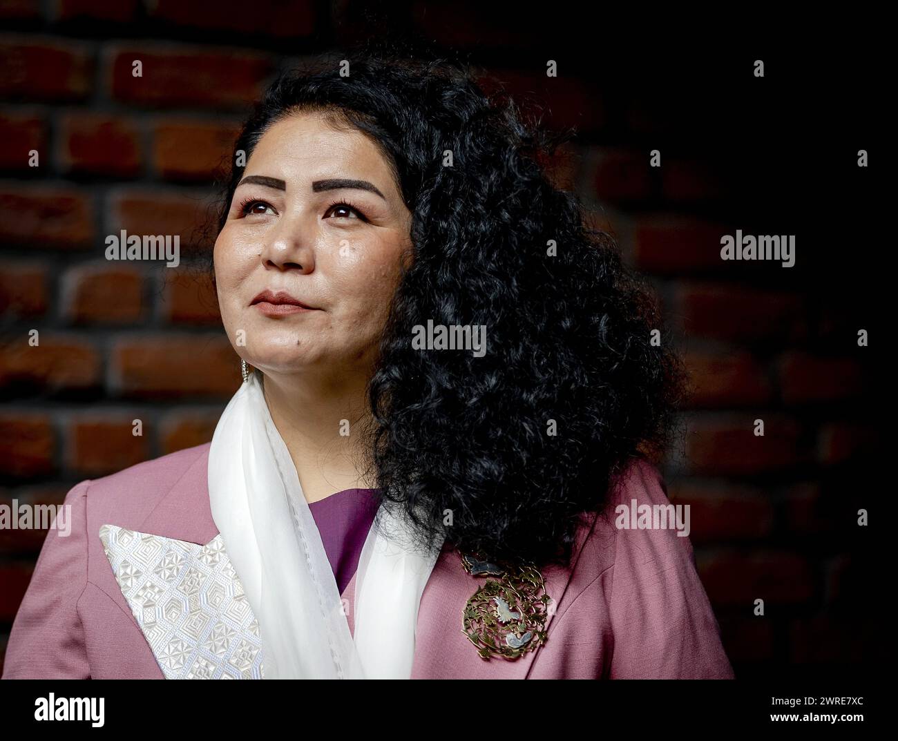 VLAARDINGEN - Portrait of Laila Haidari after a press conference prior ...