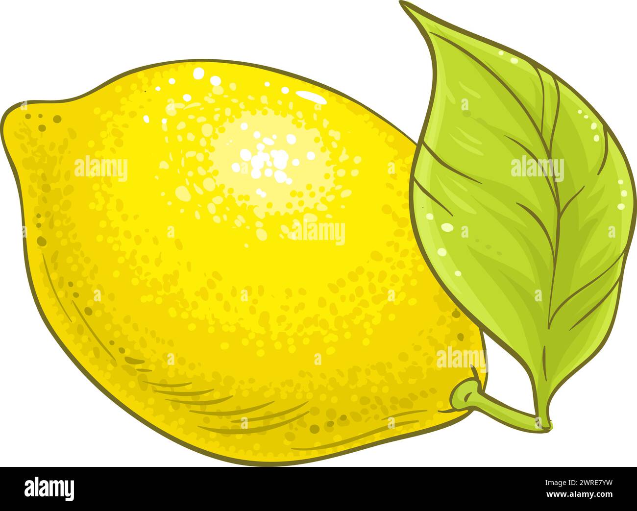 Lemon Fruit Colored Detailed Illustration Stock Vector Image & Art - Alamy