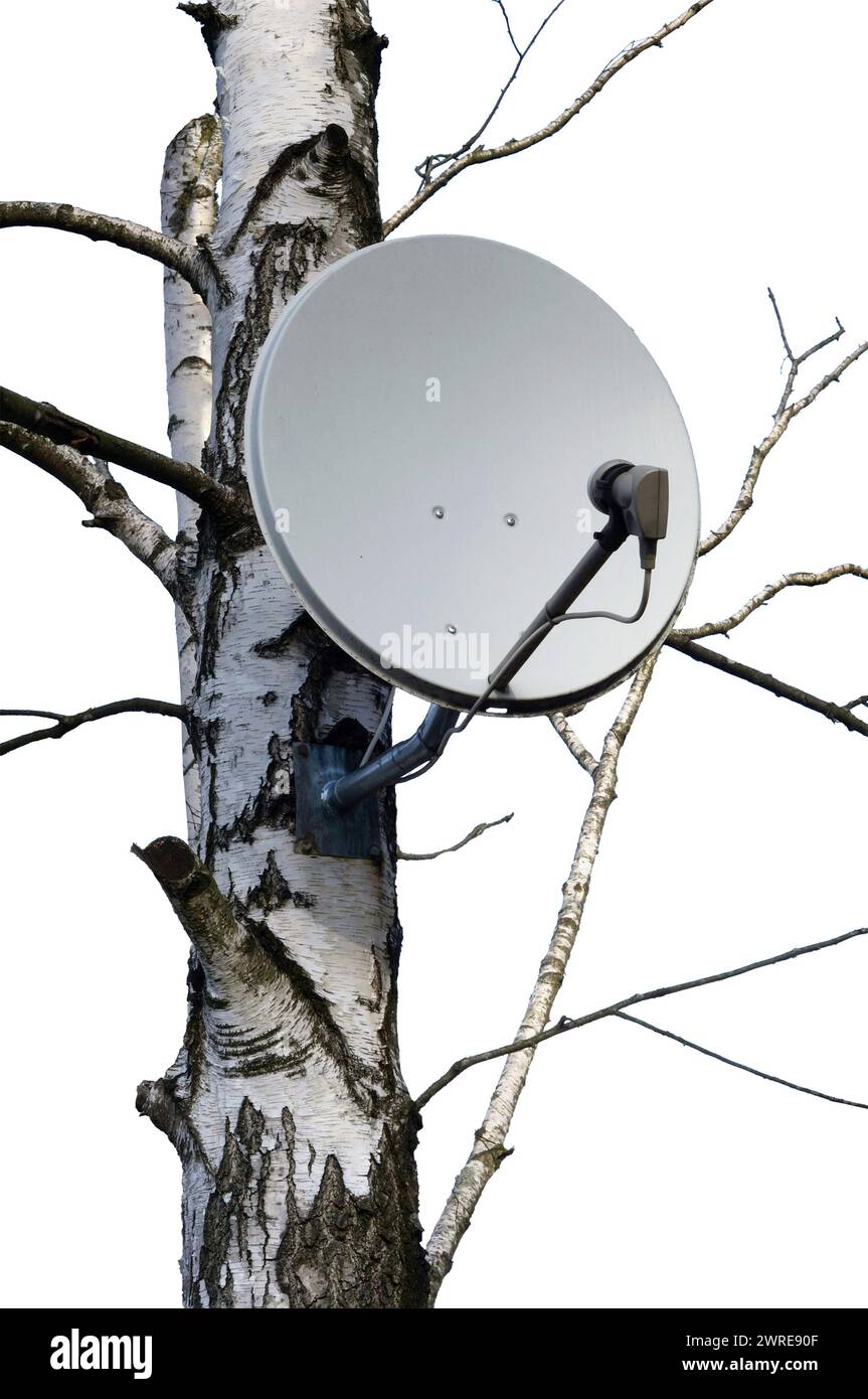 Satellite dish tree Cut Out Stock Images & Pictures - Alamy