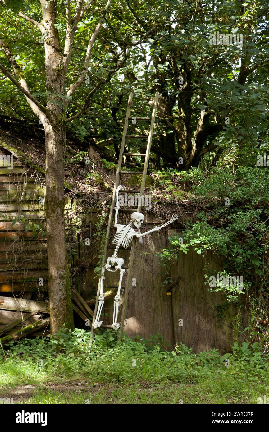 Human skeleton on ladder appearing to clear brambles off overgrown log ...